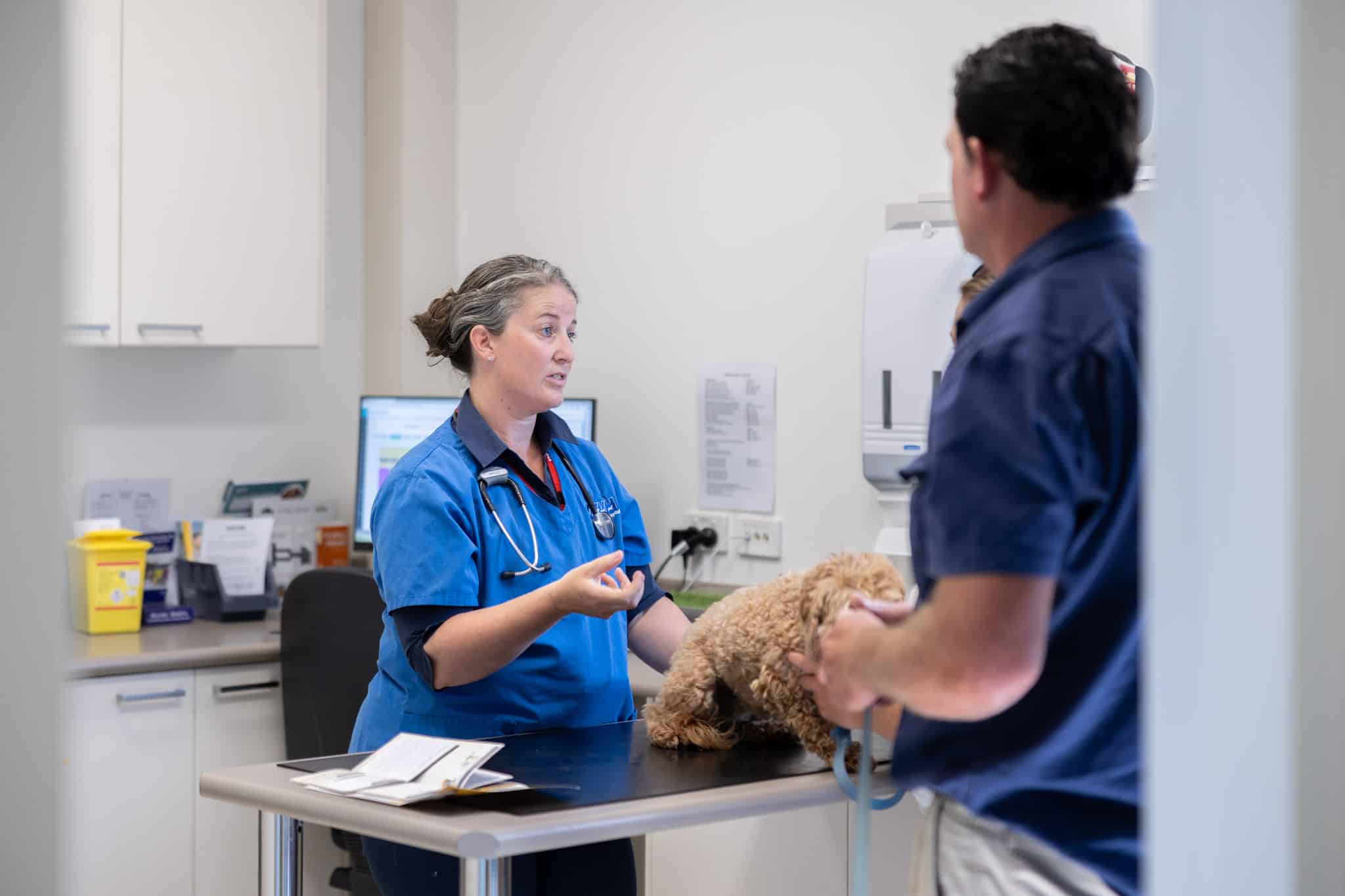 Vaccinations | Our Services | Wagga Wagga Veterinary Hospital