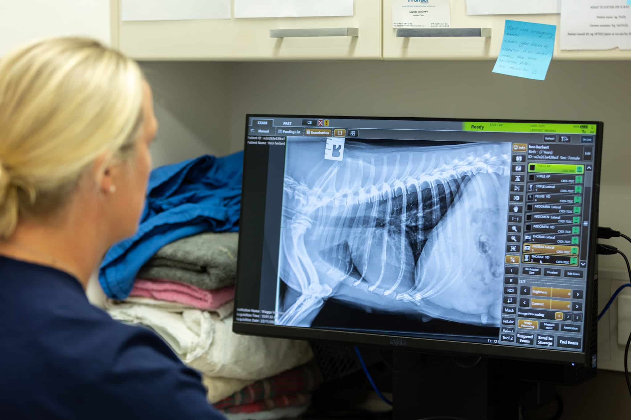 Pet X-Ray & Ultrasound Wagga | Diagnostic Imaging